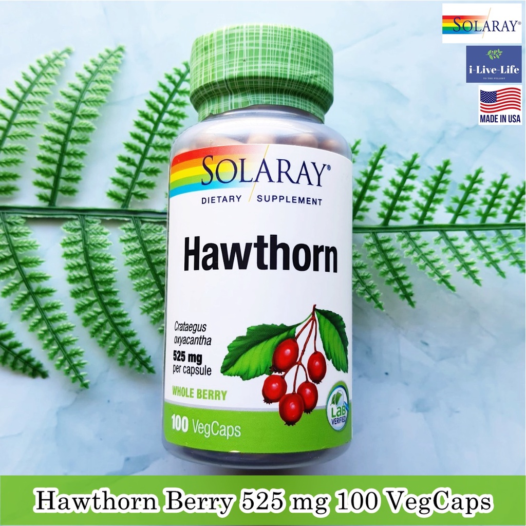 สมุนไพร ฮอว์ธอร์น Hawthorn Berry 525 mg 100 VegCaps - Solaray | Shopee ...