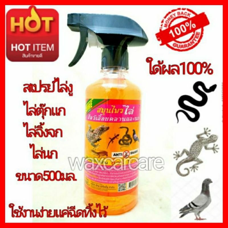 สเปรย์ไล่จิ้งจก นก งู ตุ๊กแก anti snake bird gecko lizard spray ...