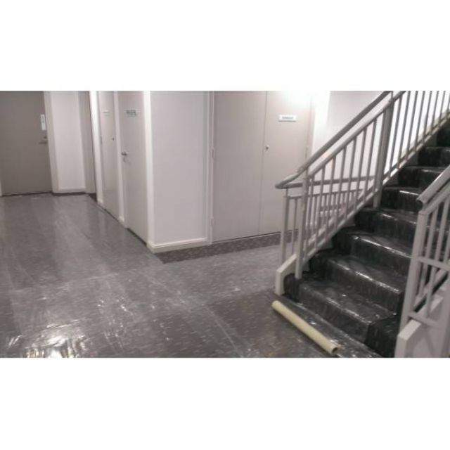 Rapgard Protective Tape / Surface Protection Tape : เทปกันรอย ขีดข่วน ...