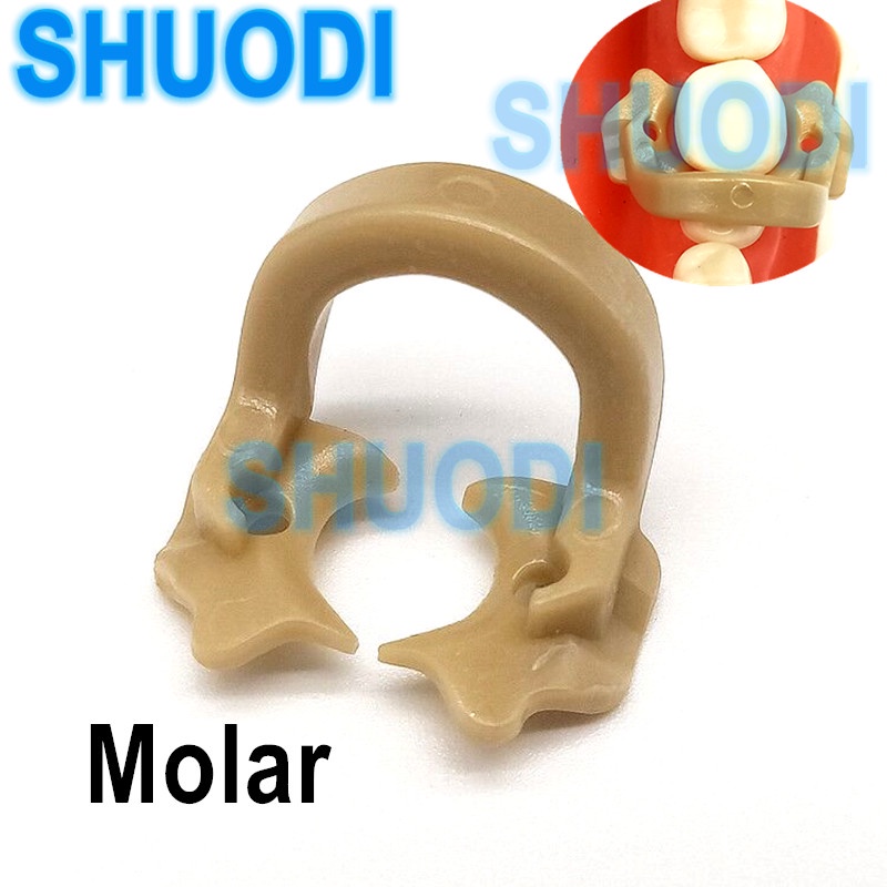 Resin Dental Rubber Dam Clamps For Molar and Premolar Clips ...