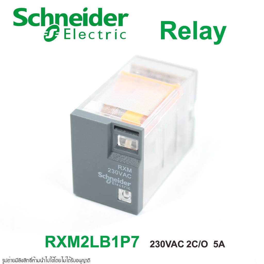 RXM2LB1P7 Schneider RELAY Schneider RXM2LB1P7 รีเลย์ Schneider รีเลย์ ...