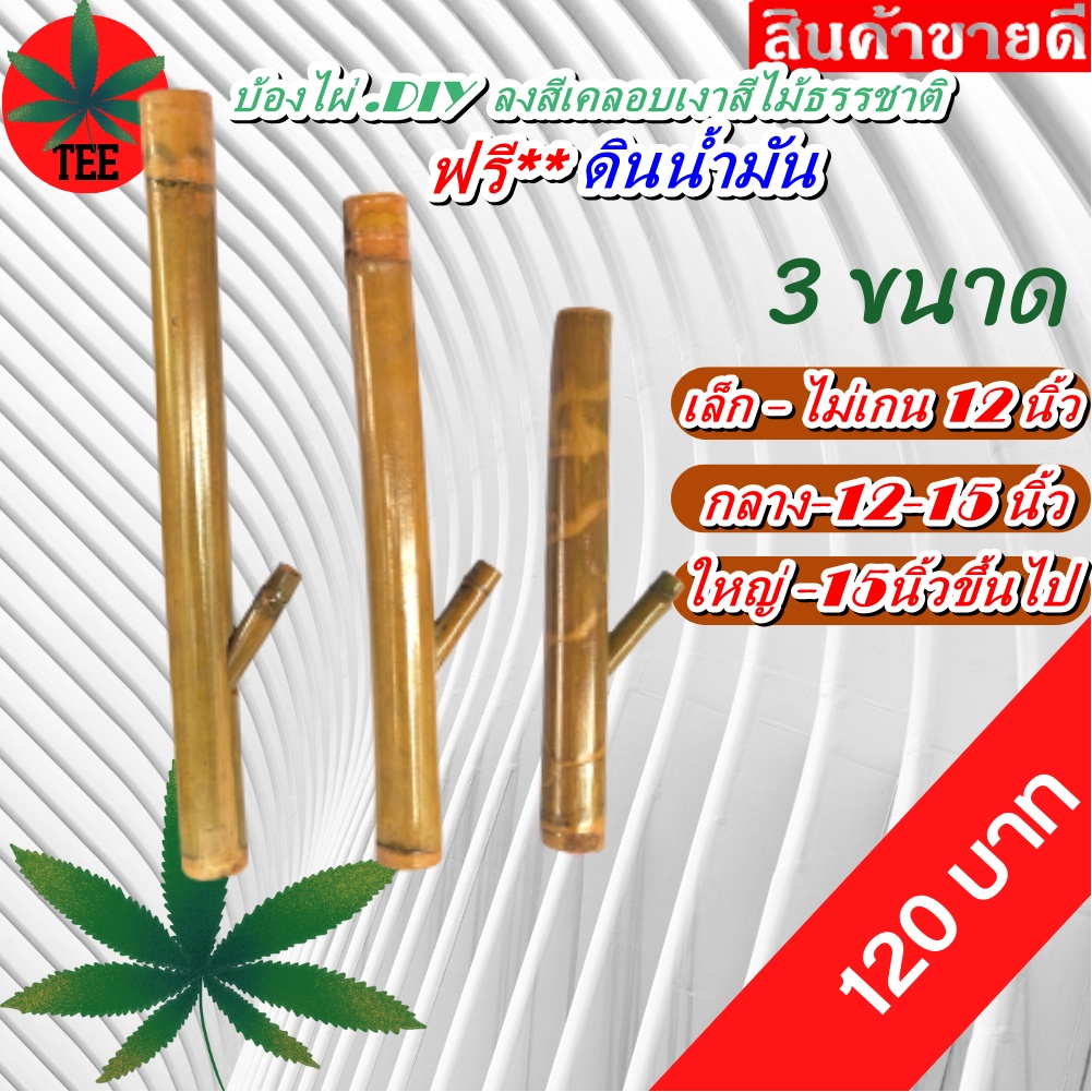 TEE-10 ไผ่แห้ง สีเหลืงทอง ไผ่.DIY บ้อง กัญ บ้องไม้ไผ่ บ้องพกพา แจกันไม่ ...