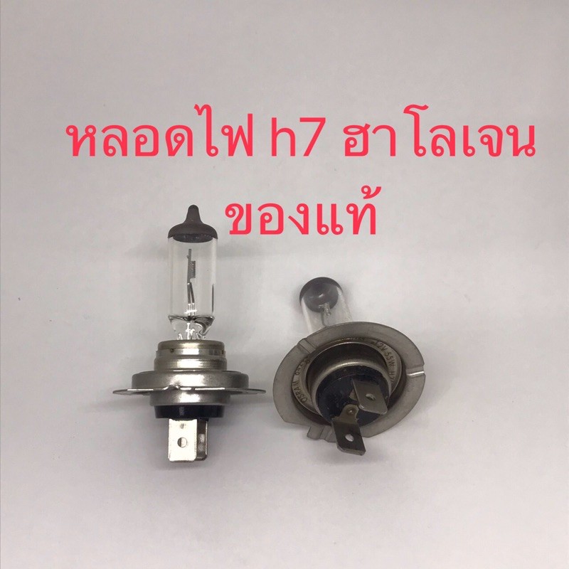 หลอดไฟ h7 ฮาโลเจน ของแท้(1ชิ้น) | Shopee Thailand