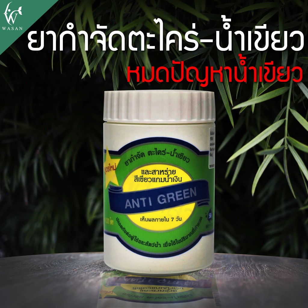 ANTI GREEN กำจัดตะไคร่-น้ำเขียว และสาหร่าย (กระป๋องเขียว สูตรครีม ...
