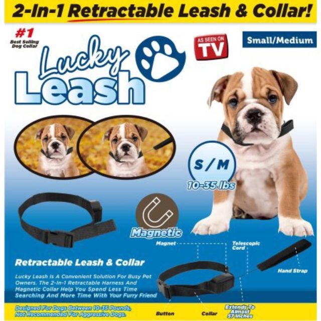 Lucky Leash ปลอกคอติดสายจูง auto | Shopee Thailand