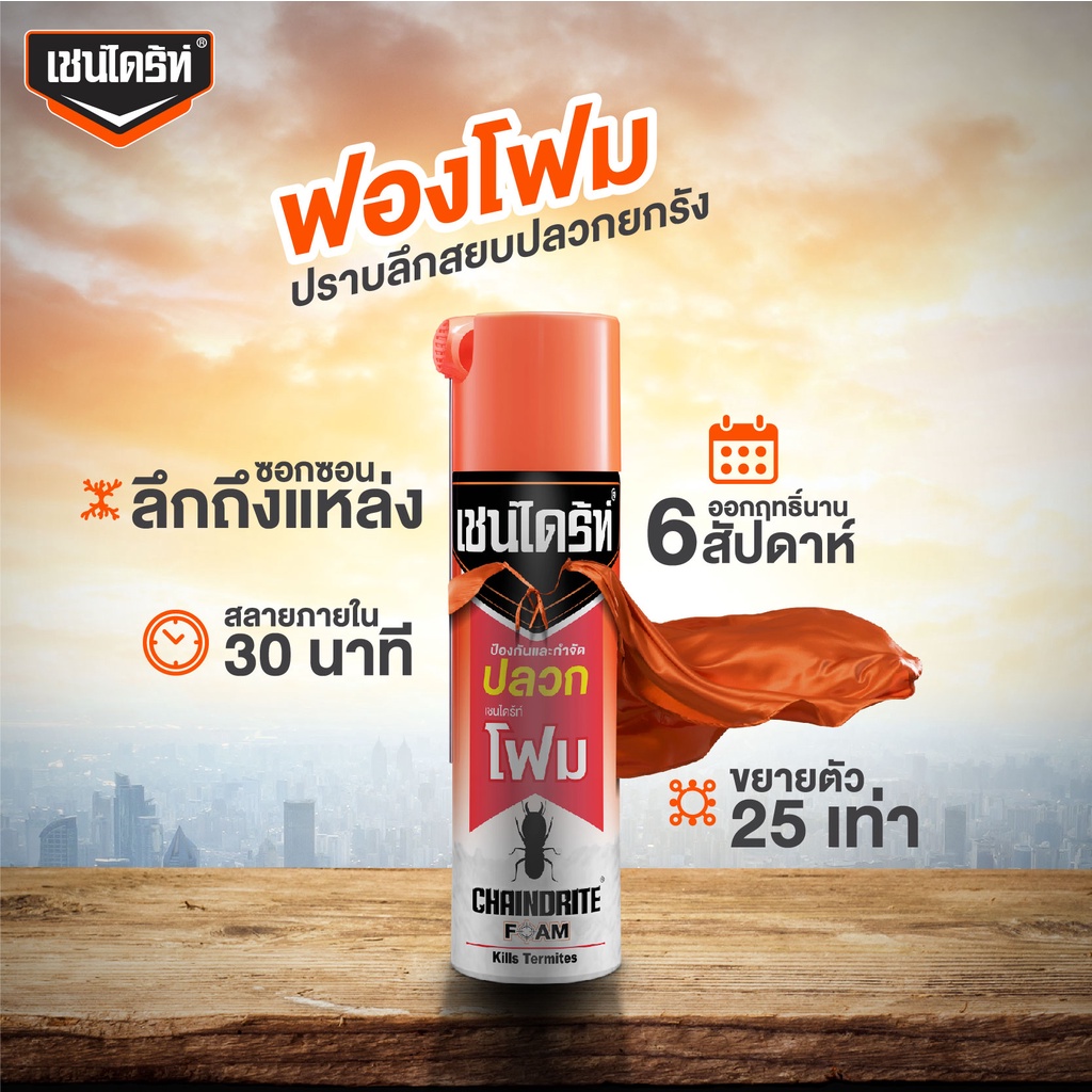 Chaindrite เชนไดร้ท์ โฟมกำจัดปลวก แมลงสาบและมด ขนาด 250 ml. | Shopee ...