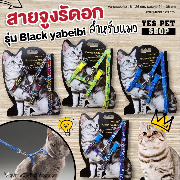 สายจูงแมว สายจูงรัดอก รุ่น Black Yabeibi โดย Yes Pet Shop | Shopee Thailand