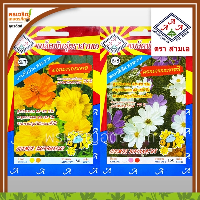 เมล็ดพันธุ์ดาวกระจาย ดอกดาวกระจาย Cosmos 3A (แบบซอง) เมล็ดดาวกระจายสี ...