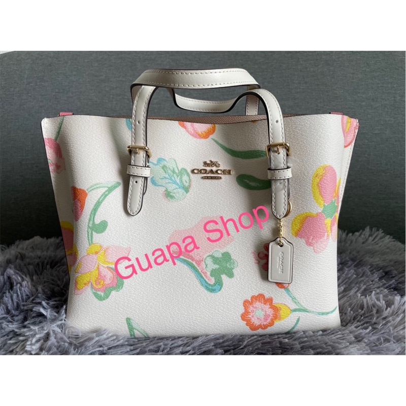 กระเป๋า COACH MINI MOLLIE ของแท้ 100% | Shopee Thailand