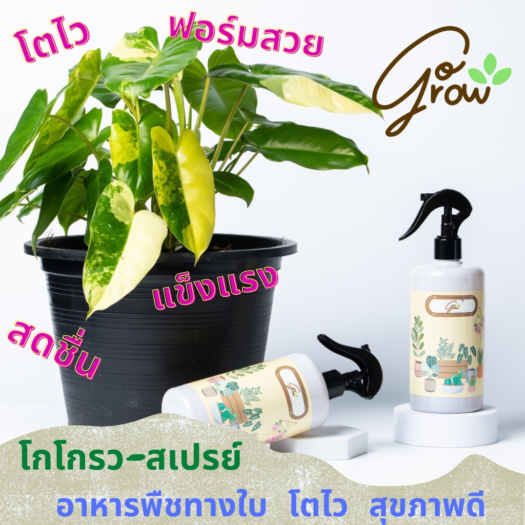 Go grow spray อาหารเสริมต้นไม้ ชนิดฉีดพ่นทางใบ ขนาด 500 มล. | Shopee ...