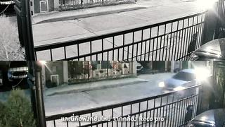 RECO Pro กล้องวงจรปิดไร้สายความชัดสูง WIFIในตัว ไม่ต้องเสียบปลั๊ก บันทึกความเคลื่อนไหว ทนแดด ทน ...