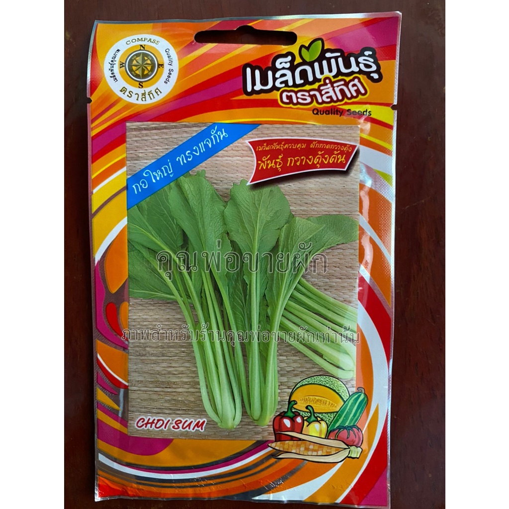 เมล็ดกวางตุ้งต้น 10 แถม 1 กวางตุ้ง choi sum เมล็ดพันธุ์ผัก | Shopee Thailand