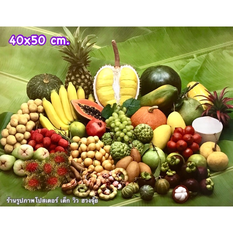 โปสเตอร์ไม่ใช่สติ๊กเกอร์(เลือกและขนาดด้านใน) ไม่มีกรอบรูป 🍒รูปภาพผลไม้ ...