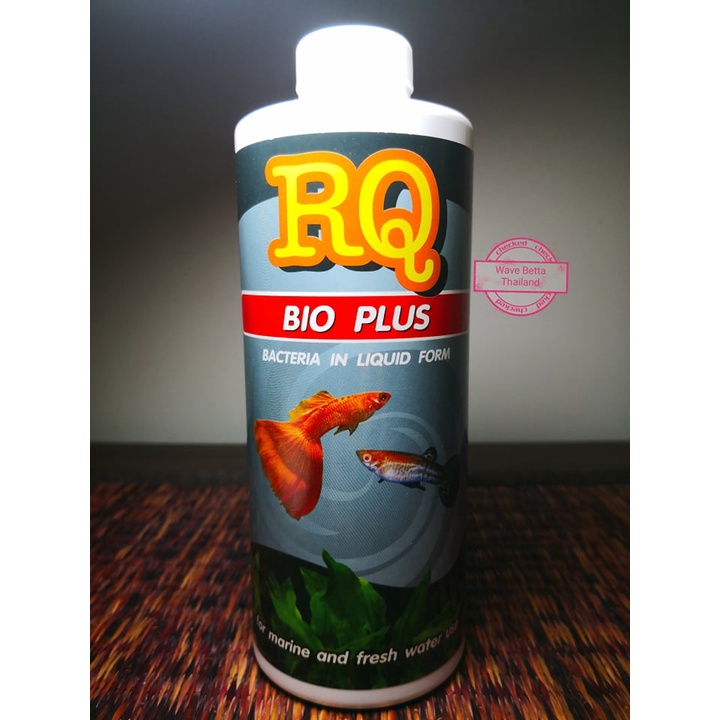 RQ BIO PLUS อาร์คิว ไบโอ พลัส (แบคทีเรียย่อยสลายของเสีย เศษอาหารตกค้าง ...