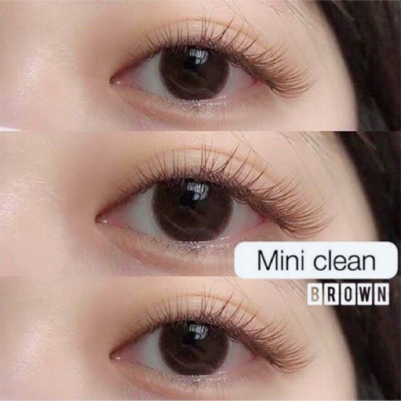 🇰🇷 Mini Clean Brown 🇰🇷 (Cleen) มีสายตาปกติถึง-10.00 คอนแทคเลนส์ Kitty ...