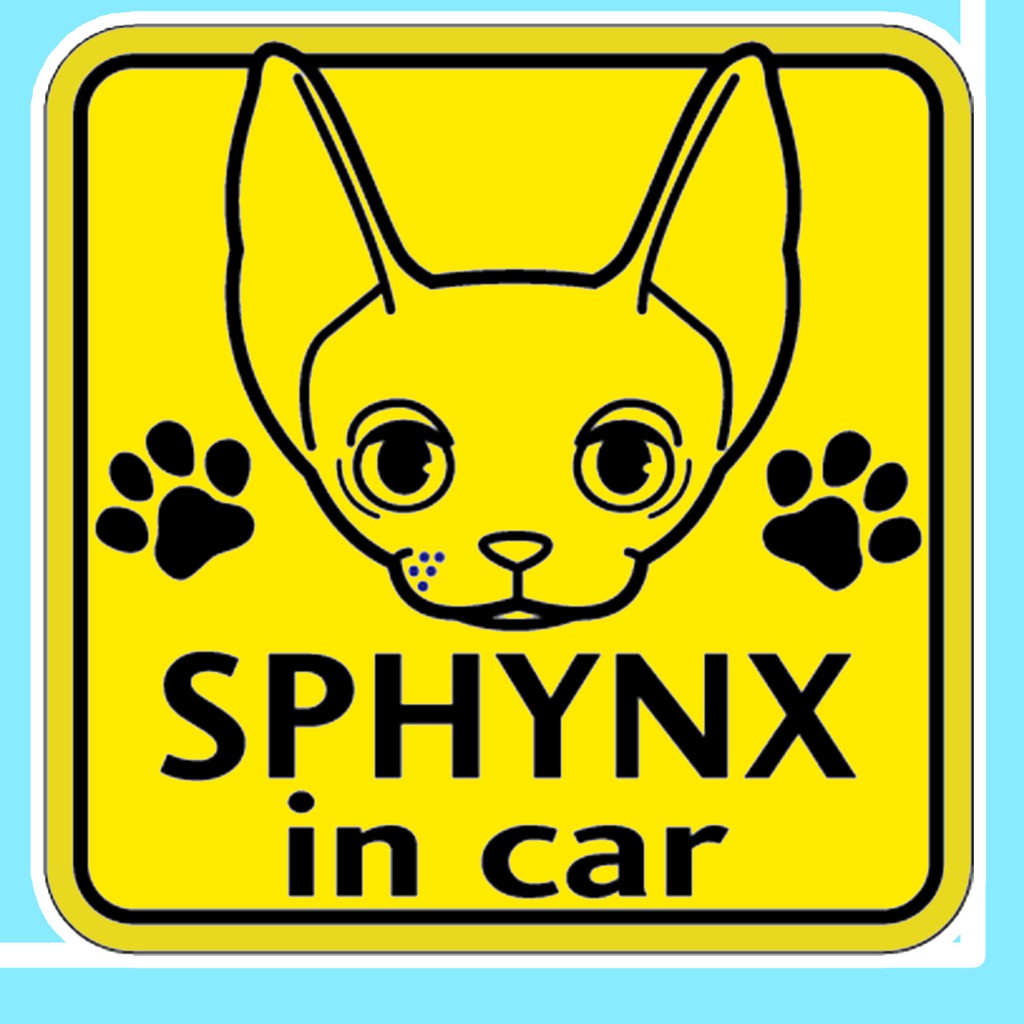 สติกเกอร์ จุ๊บติดกระจก แผ่นแม่เหล็กติดรถยนตร์ สติกเกอร์แมว sphynx cat ...