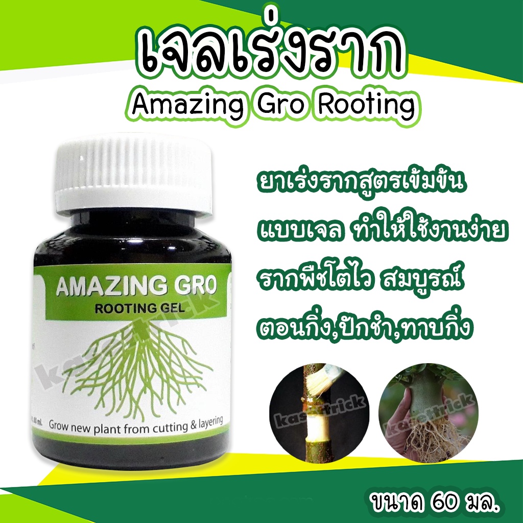 เจลเร่งราก 60 มล. Amazing Gro Rooting Gel ใช้ได้ทันทีไม่ต้องผสมน้ำ ...