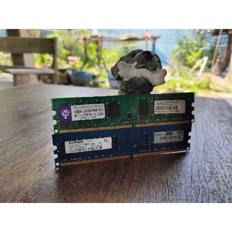 แรมddr2 bus800 4Gb(2*2) | Shopee Thailand