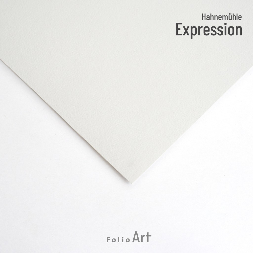 FOLIO ART :Hahnemühle รุ่น Expression กระดาษระบายสีน้ำ 300 แกรม ผิวกึ่ง ...