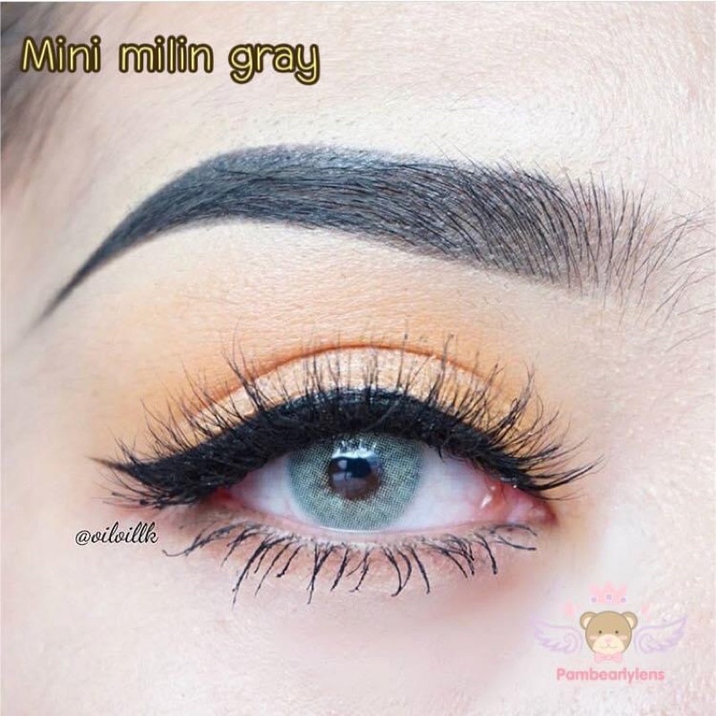Mini Milin gray คอนแทคเลนส์ | Shopee Thailand