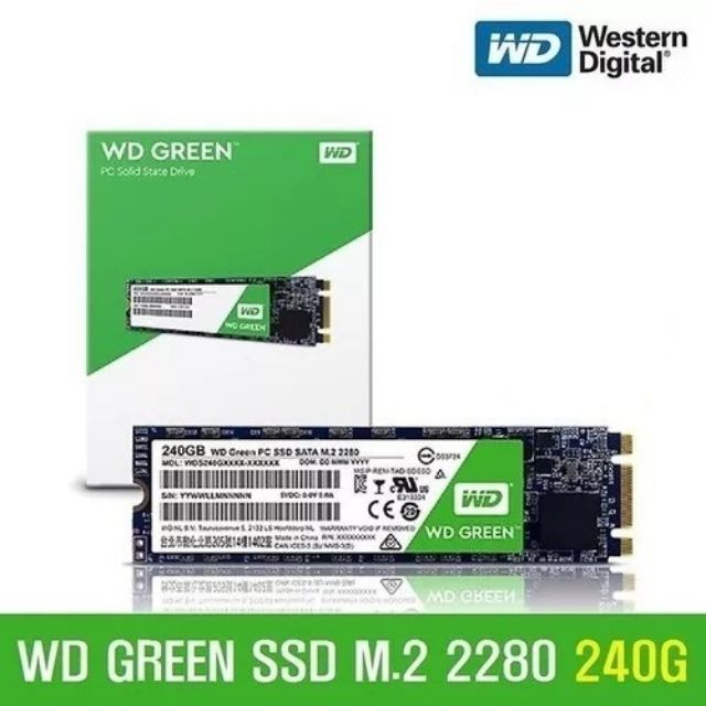 🌟 WD SSD 240GB M.2 GREEN ประกัน 3 ปี Western Digital SOLID STATE DRIVE ...