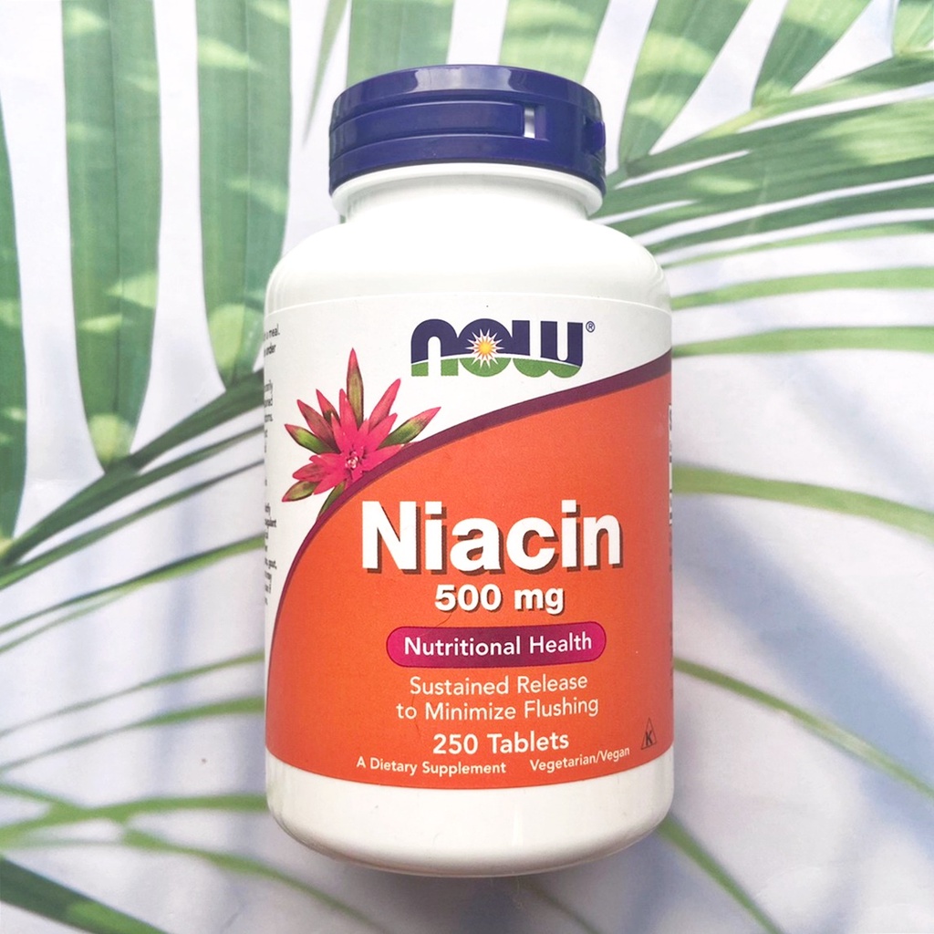 Niacin วิตามินบี 3 ไนอะซิน Niacin 500 mg 250 Tablets (Now Foods ...