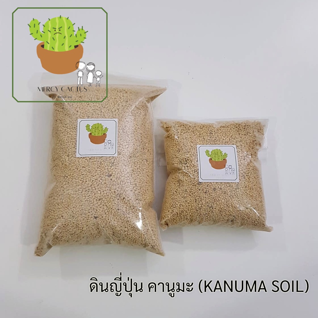 ดินญี่ปุ่น คานูมะ (KANUMA SOIL) ขนาด s | Shopee Thailand