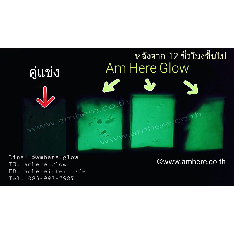 Super Glow Paint for Aim Night Sight (Glow in the Dark Paint) เพิ่ม ...