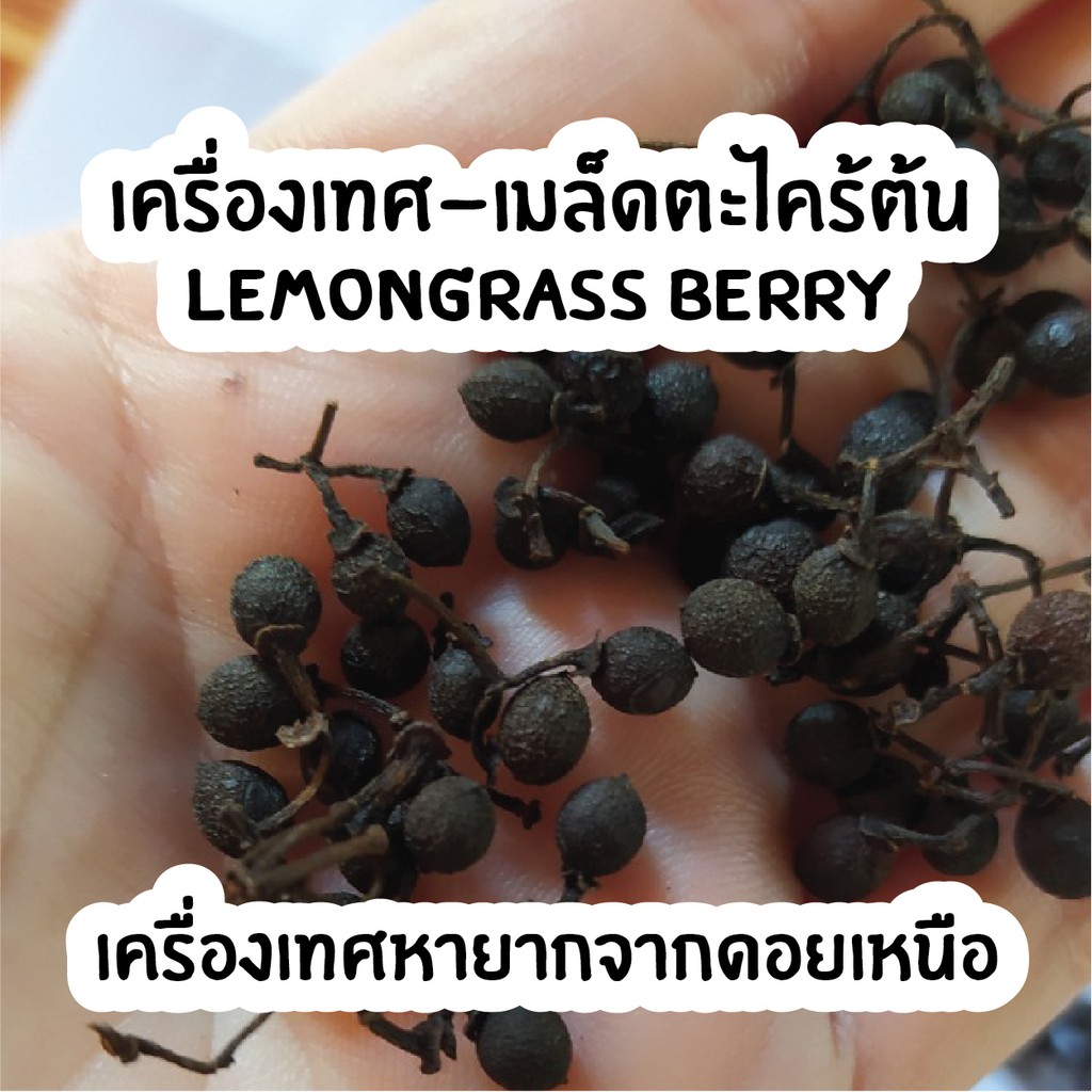 Lemon grass berry เมล็ดตะไคร้ต้นแห้ง - รสชาติตะไคร้ผสมเลม่อน วัตถุดิบหา ...