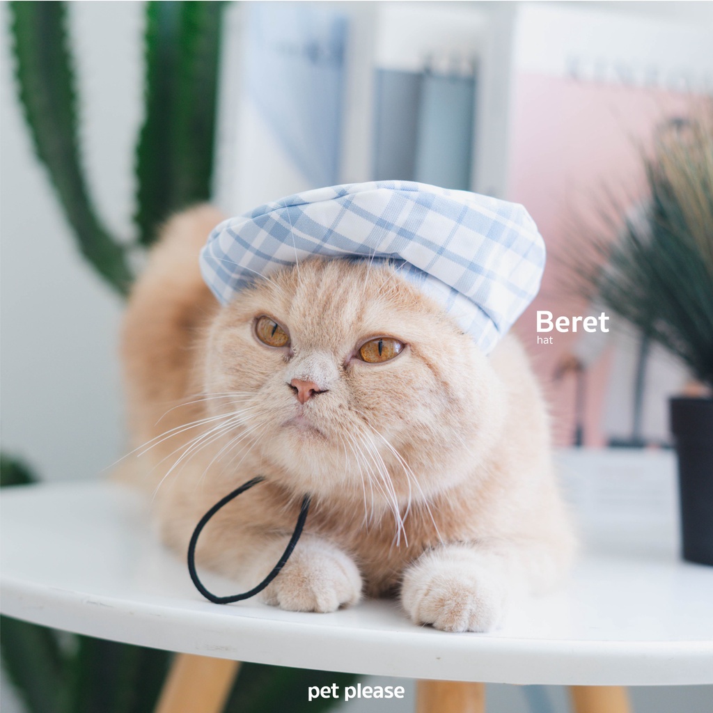 Beret หมวกเบเร่ต์ หมวกสัตว์เลี้ยง l petplease เสื้อแมว ชุดแมว หมา สุนัข | Shopee Thailand