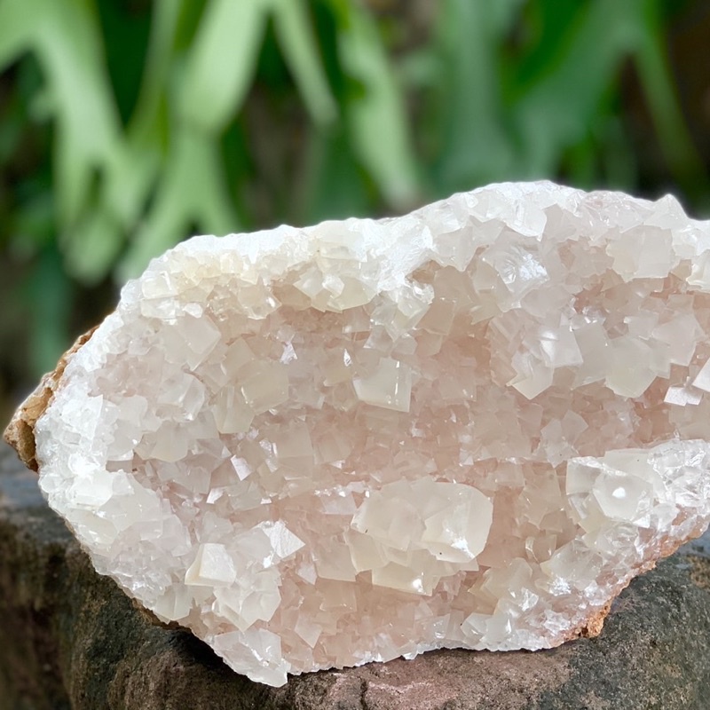 White Calcite (ขนาด 1-1.5 กิโลกรัม) | Shopee Thailand