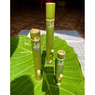 ไม้ไผ่ขนาดเล็ก สำหรับพกพา ยาว25cm.-45ซม.ไม้ไผ่สำหรับตกแต่งdiy | Shopee ...