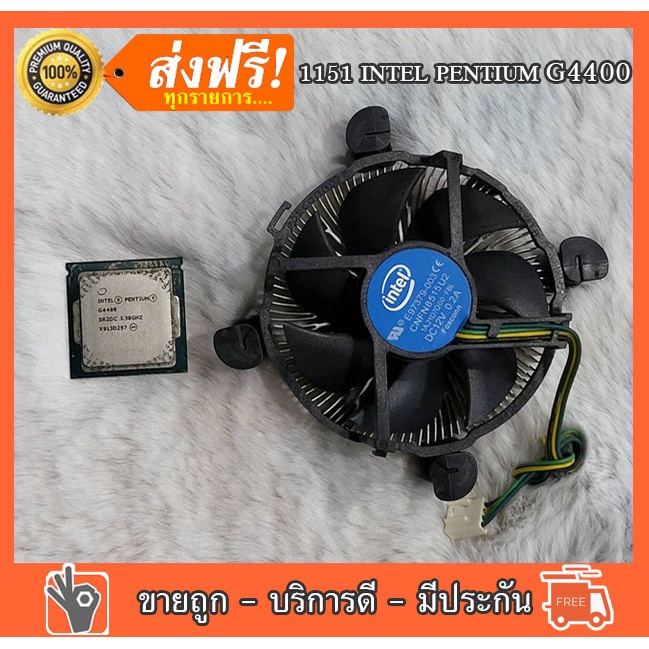 ซีพียู CPU INTEL PENTIUM G4400 3.3GHz LGA1151 For TB250 BTC Pro 12 GPU | Shopee Thailand