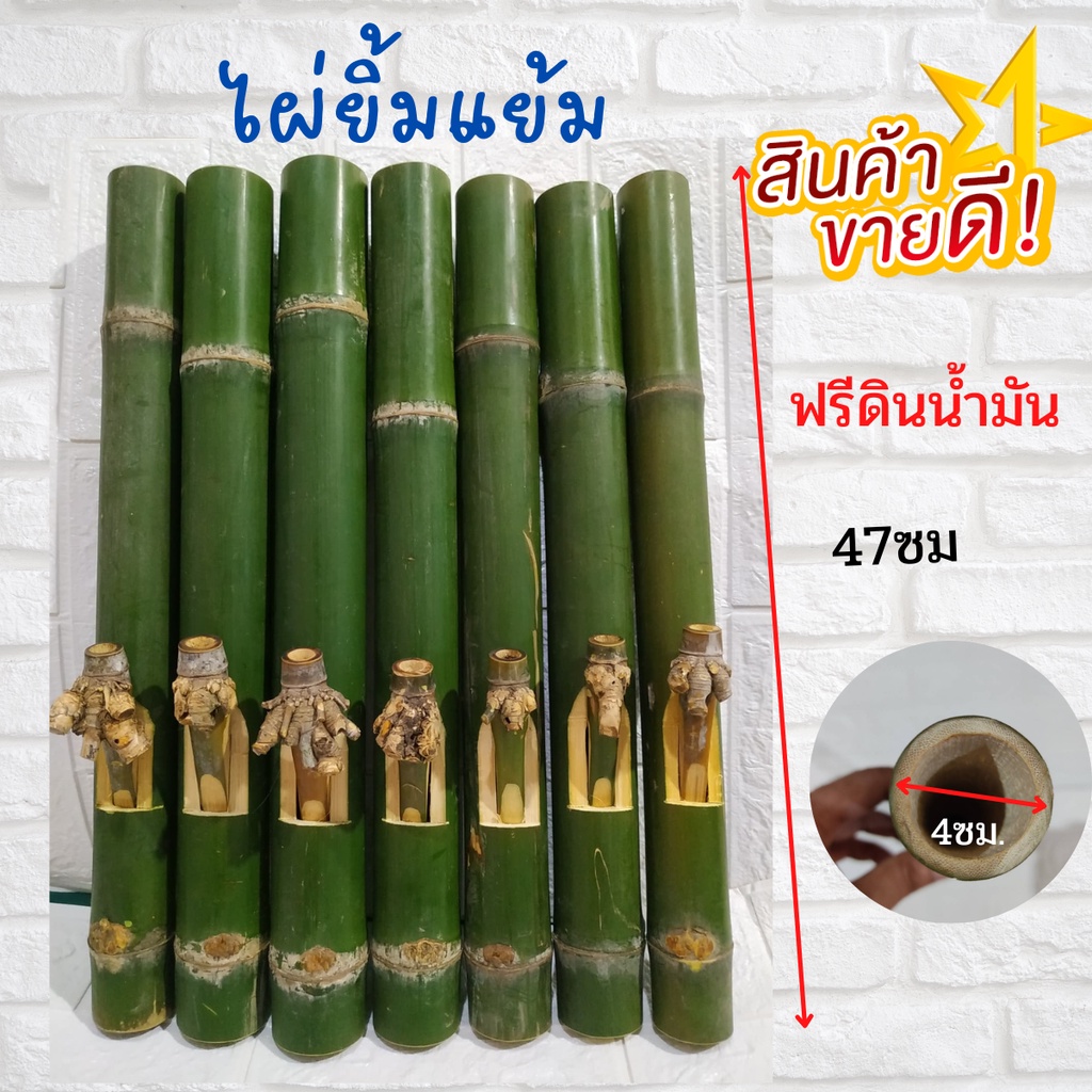 บ้องไม้ไผ่สำเร็จรูปตกแต่งร้าน แจกัญดอกไม้ พร้อมใช้งาน | Shopee Thailand