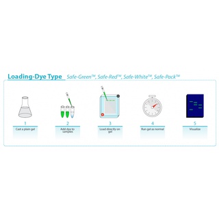 abm® Safe-Red DNA RNA gel stain nucleic acid agarose polyacrylamide ...
