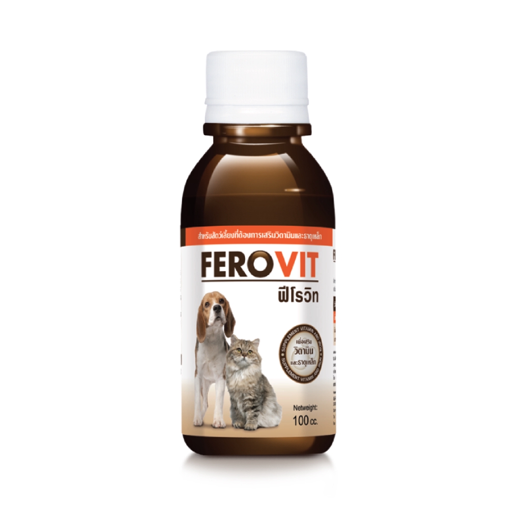 Ferovit ฟีโรวิท วิตามินรวมเสริมธาตุเหล็ก ช่วยบำรุงเลือด ขนาด 100 CC ...