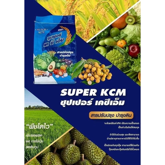 Super KCM ซีโอไลท์ ซีโอไลต์ Zeolite แร่ภูเขาไฟ หินภูเขาไฟ บำรุงดิน บำรุงพืช บำรุงต้นไม้ | Shopee ...