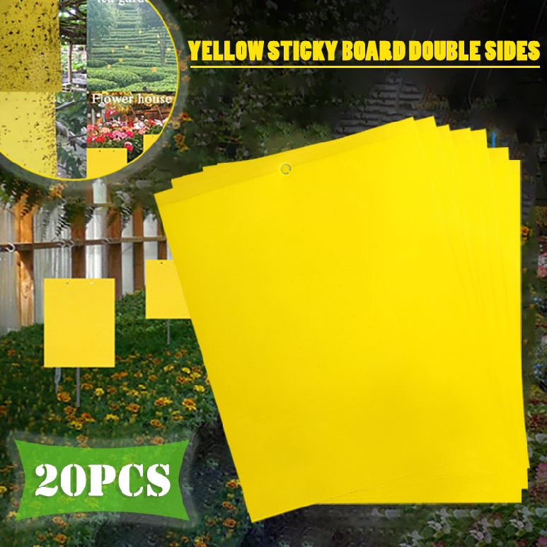 20 Sticky Fly Trap Paper Yellow Traps Fruit Flies Insect Glue Catcher ...