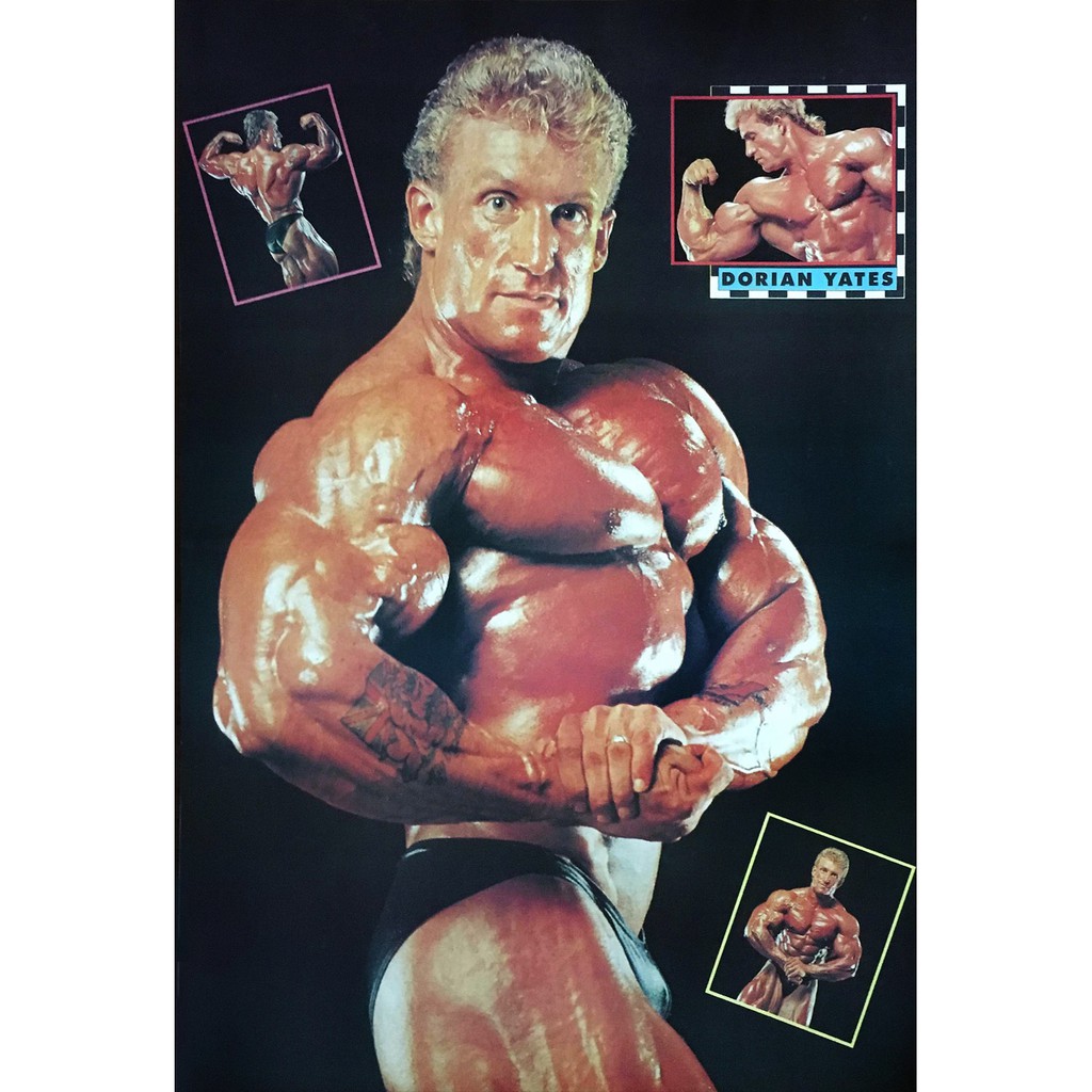 โปสเตอร์ รูปถ่าย เพาะกาย เพาะกล้าม เล่นกล้าม Body Builder Dorian Yates ...