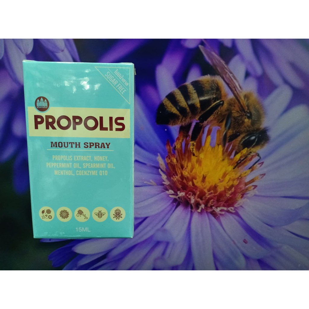 Propolis Mouth spray 15ml. | Shopee Thailand