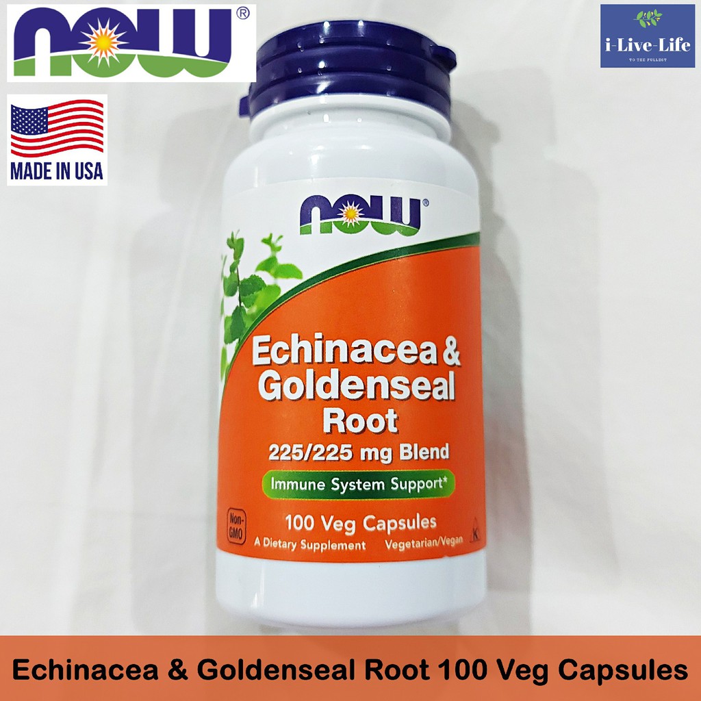 เอ็กไคนาเซีย โกลเด้นซีล Echinacea & Goldenseal Root 100 Veg Capsules ...