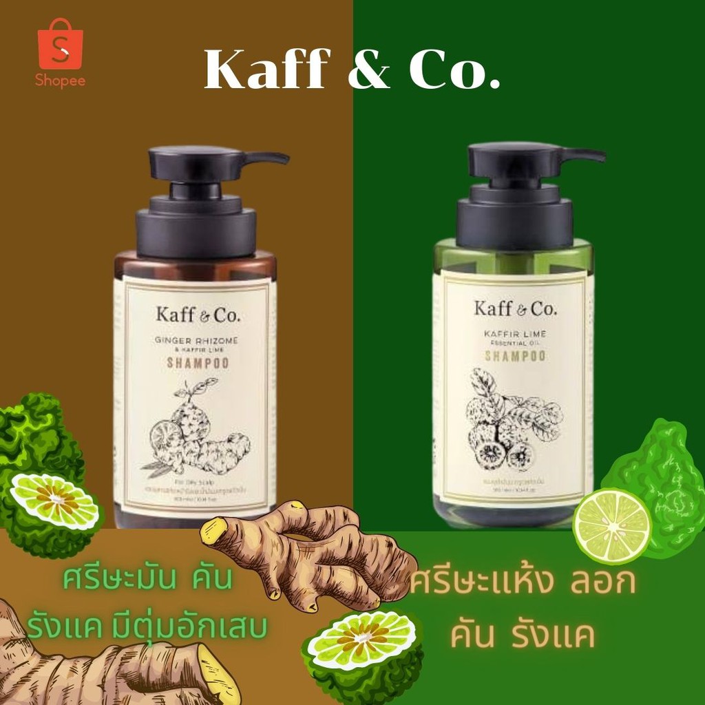 KAFF & CO แชมพู สกัดขิงและมะกรูด / ครีมนวดผมว่านหางจระเข้ | Shopee Thailand