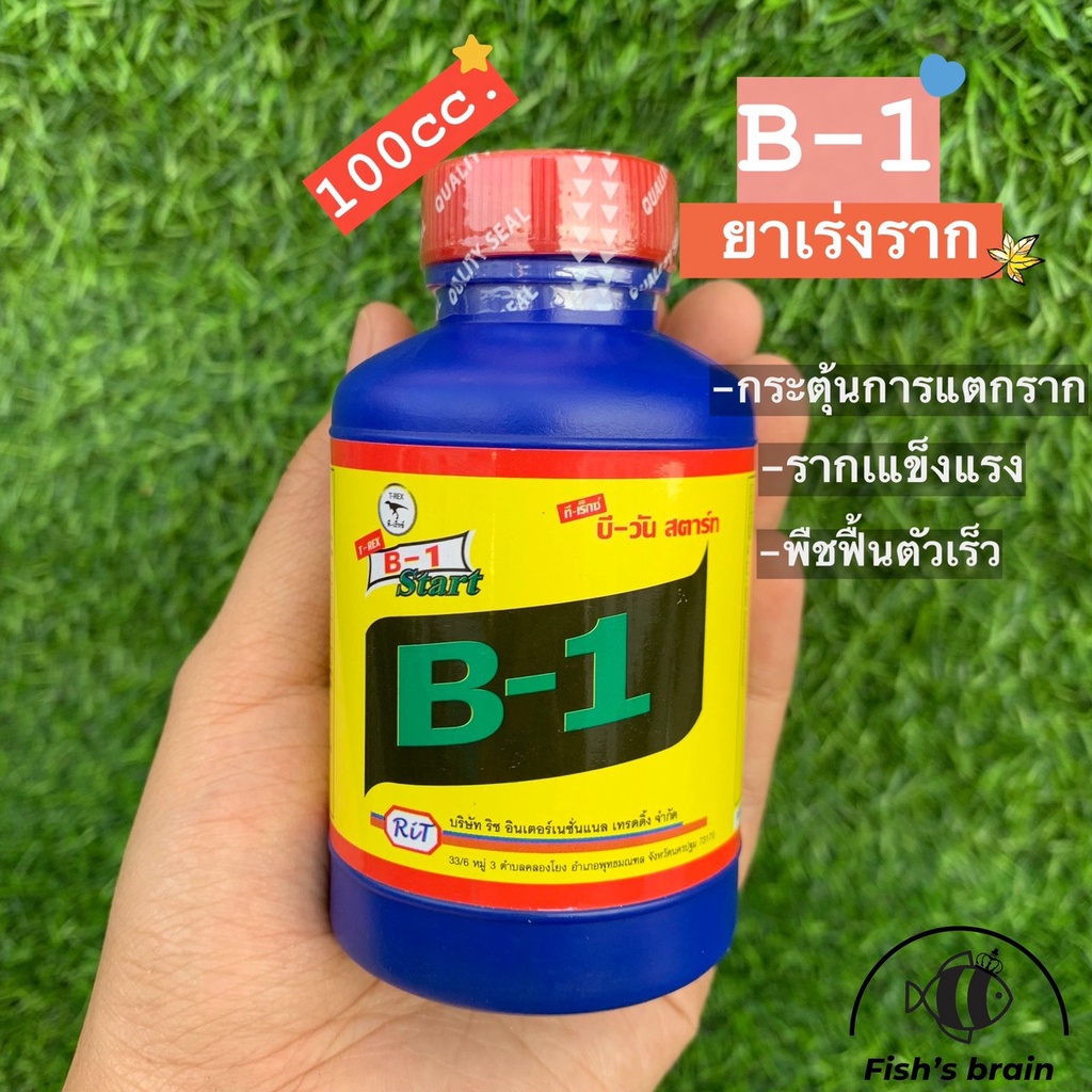 B-1 (B Start) น้ำยาเร่งราก ตราT-rex ขนาด 100cc. B-1 บี-วัน บำรุงราก รากเดินดี | Shopee Thailand