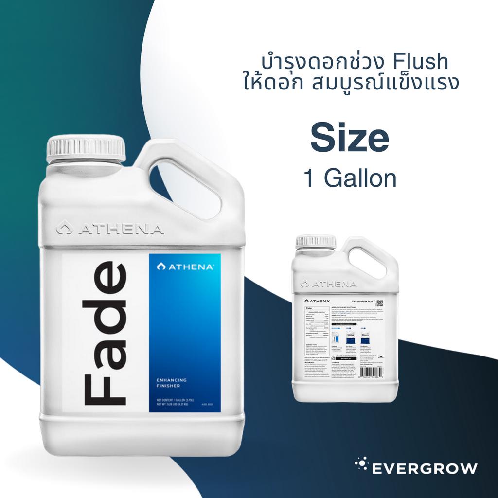 Athena Fade สำคัญมาก เพิ่มประสิทธิภาพของดอก ลดการเกิดโรคในช่วงFlush ขนาด1Gal./5 Gal. | Shopee ...