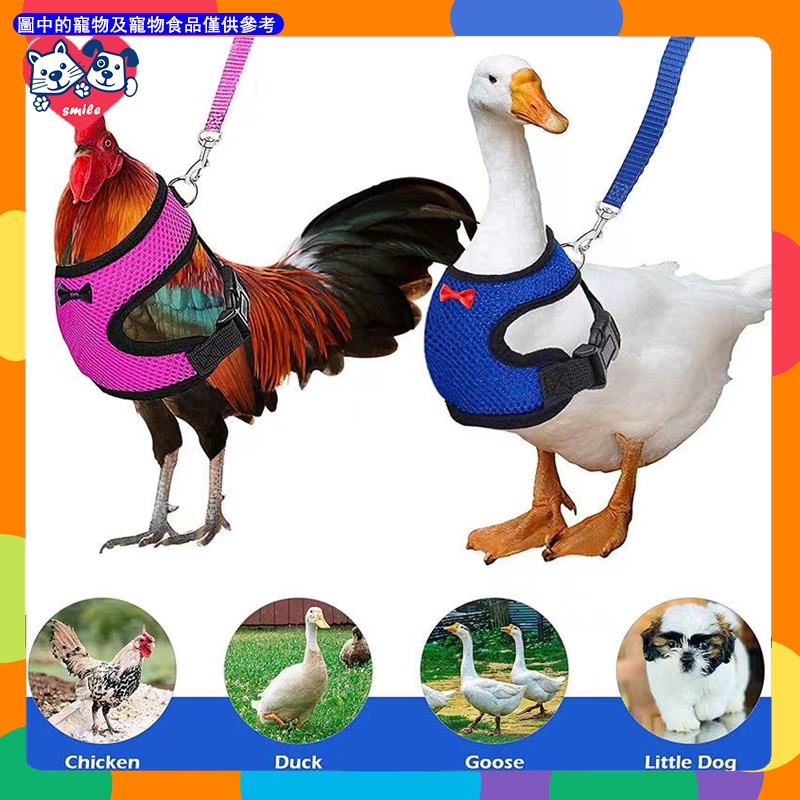 Pet traction rope poultry training with pet chicken duck goose traction ...