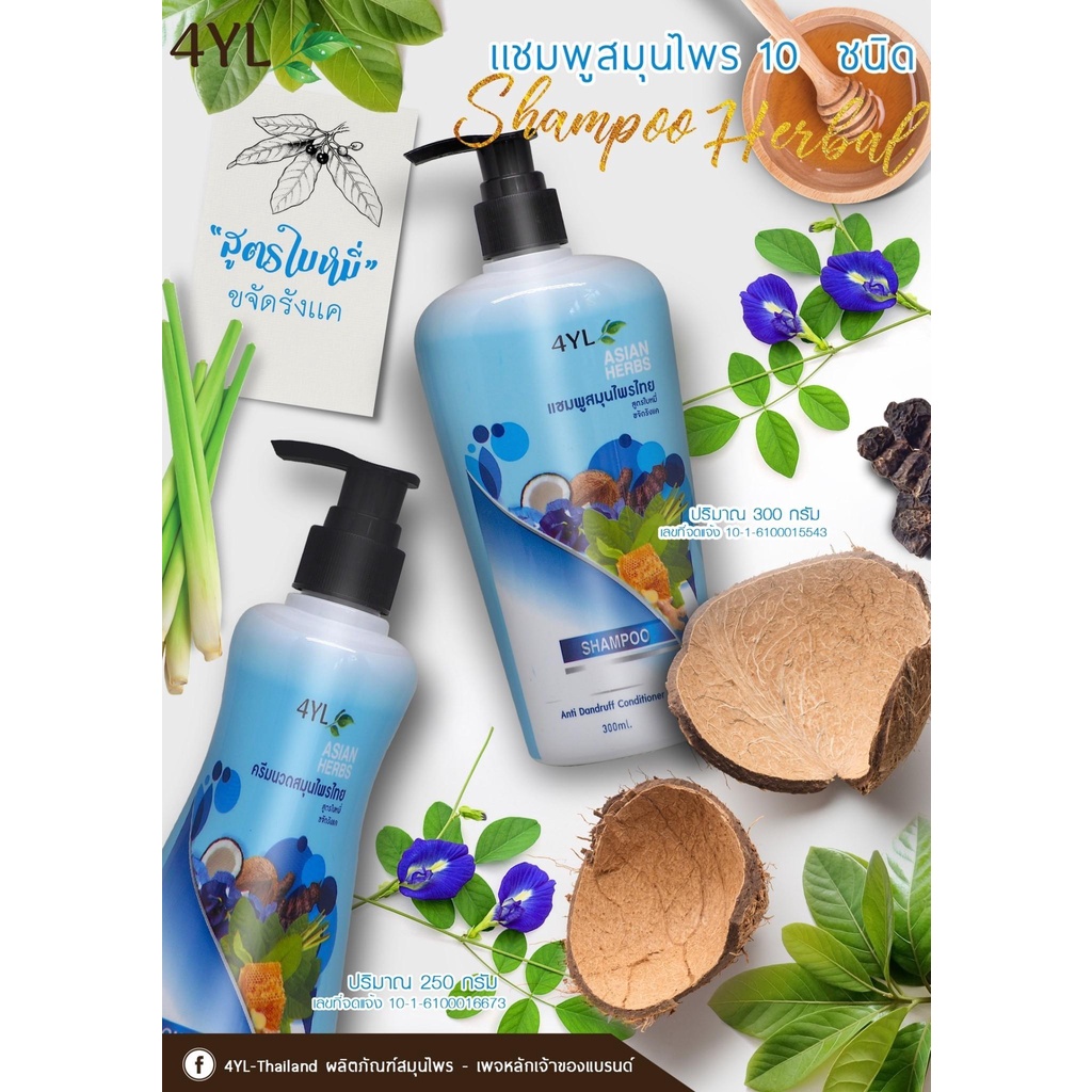แชมพู-ครีมนวด ใบหมี่ แชมพูสมุนไพร 4YL | Shopee Thailand