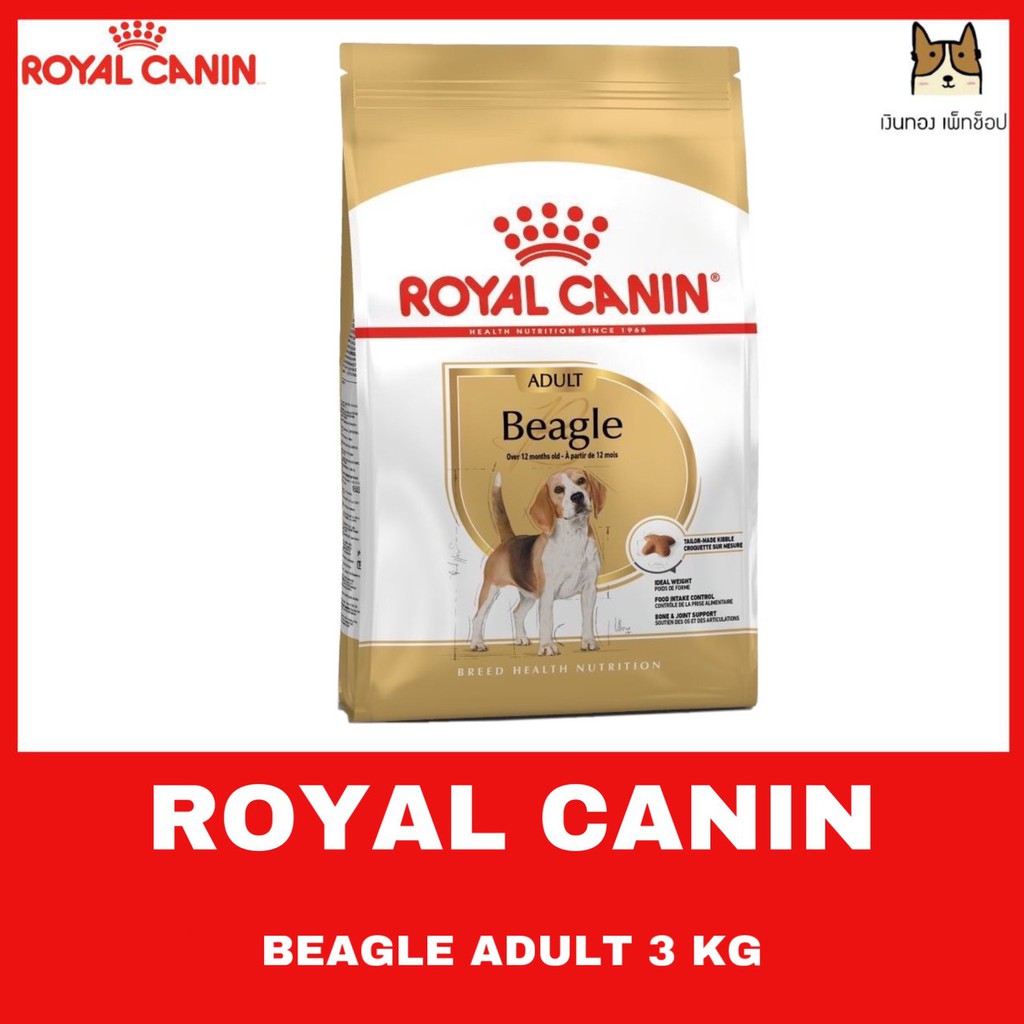 Royal Canin BEAGLE ADULT 3 KG. อาหารสุนัขโต พันธุ์บีเกิ้ล อายุ 10 เดือน ...