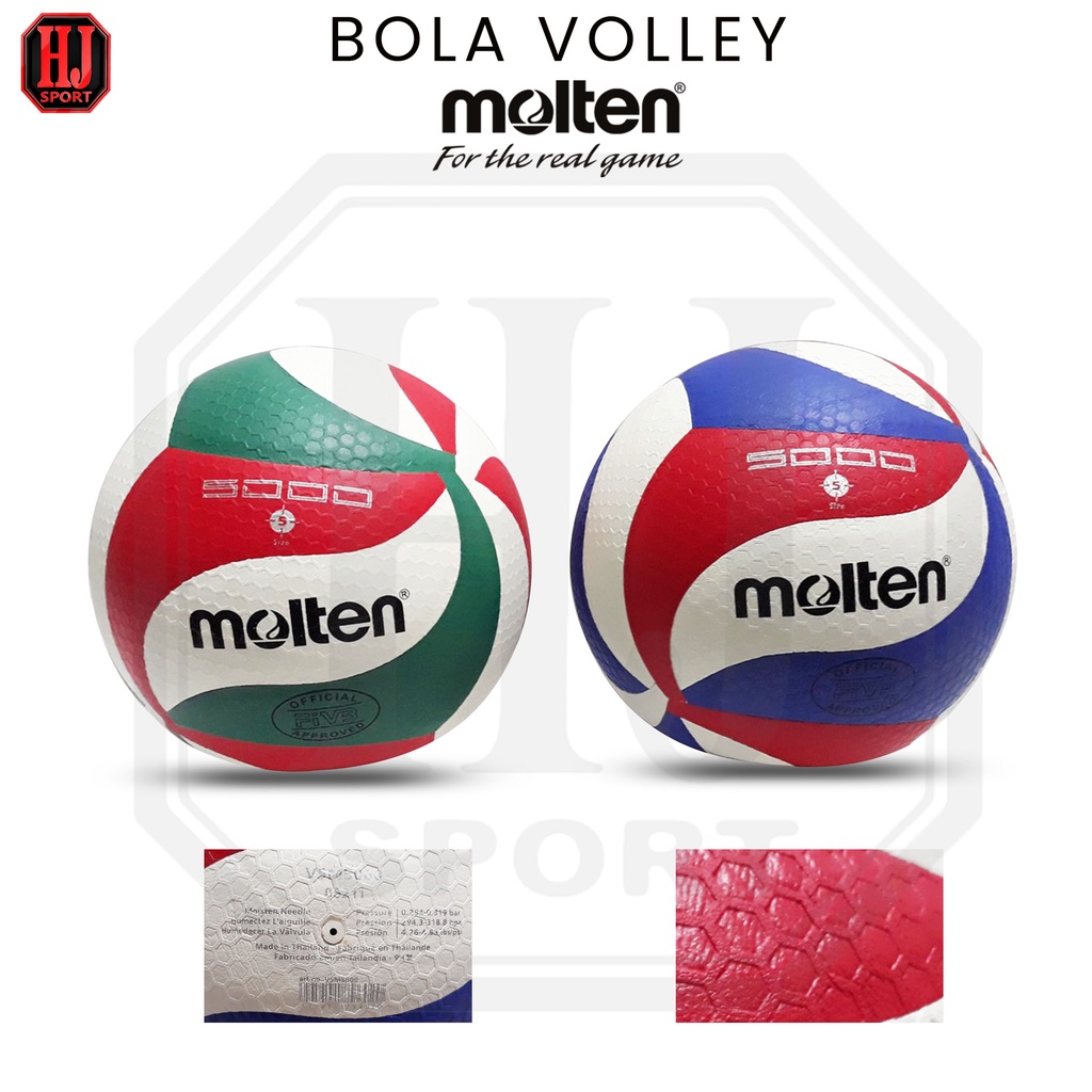Molten Volleyball / Volleyball / Molten Volleyball 5000 Bonus Valve ...