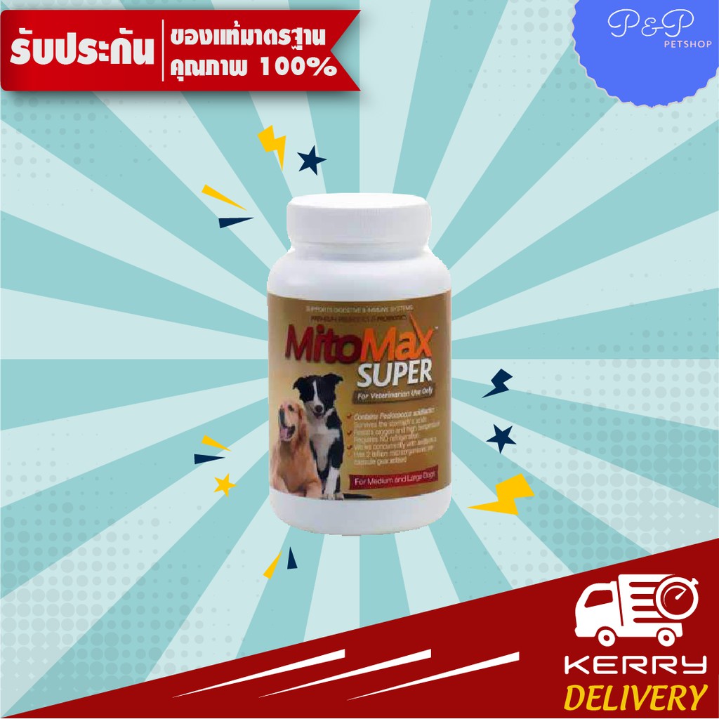 Mitomax Super medium-large dog 30caps อาหารเสริม สุนัขช่วยในระบบย่อย ...