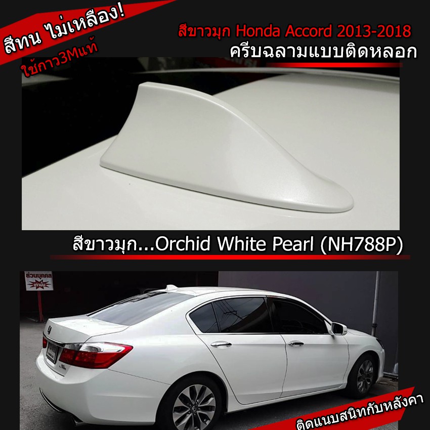 ครีบฉลามแอคคอร์ดสีขาวมุกNH788P ทรงBM4D แบบติดหลอกแอคคอด เสาครีบฉลามHonda Accord ครีบฉลามสีตรง ...